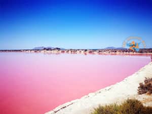 Escursione alle Saline di Marsala: come arrivare e cosa vedere nella ...